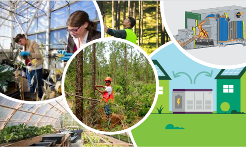 Global Indigenous Development Trust | Empowering Indigenous Communities